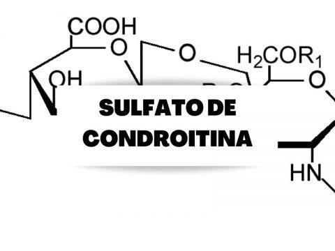 Toda la información sobre el sulfato de condroitina